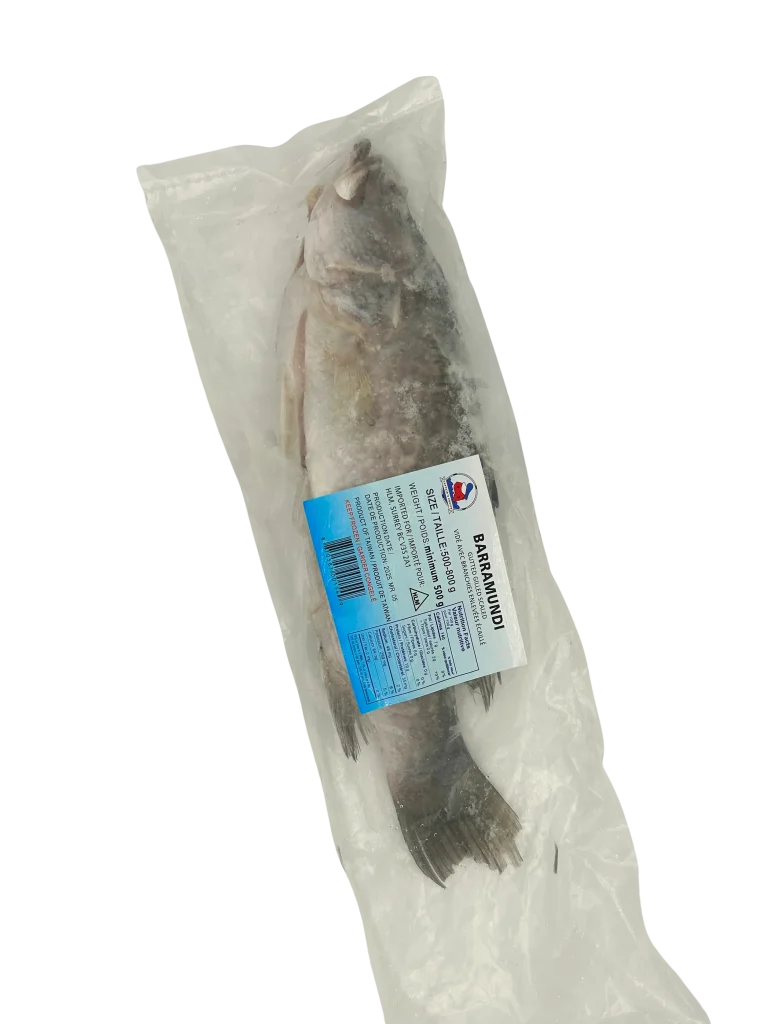 Barramundi / Giant Sea Perch - Hen Long Market